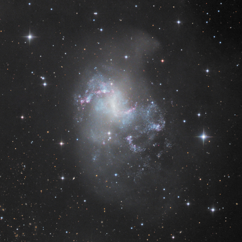 NGC 1313 | Telescope Live